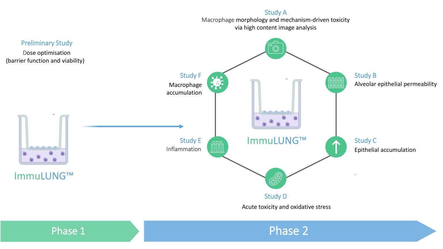 Therapeutics - ImmuONE™