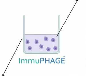 ImmuPHAGE™ - ImmuONE™